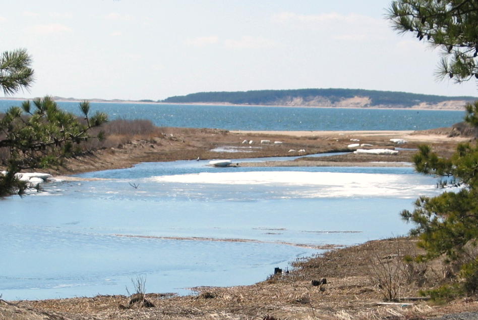Photo gallery – Wellfleet Conservation Trust