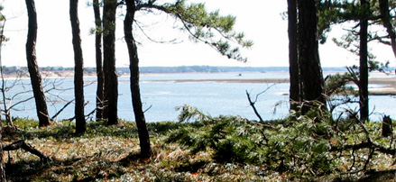 What you can do – Wellfleet Conservation Trust