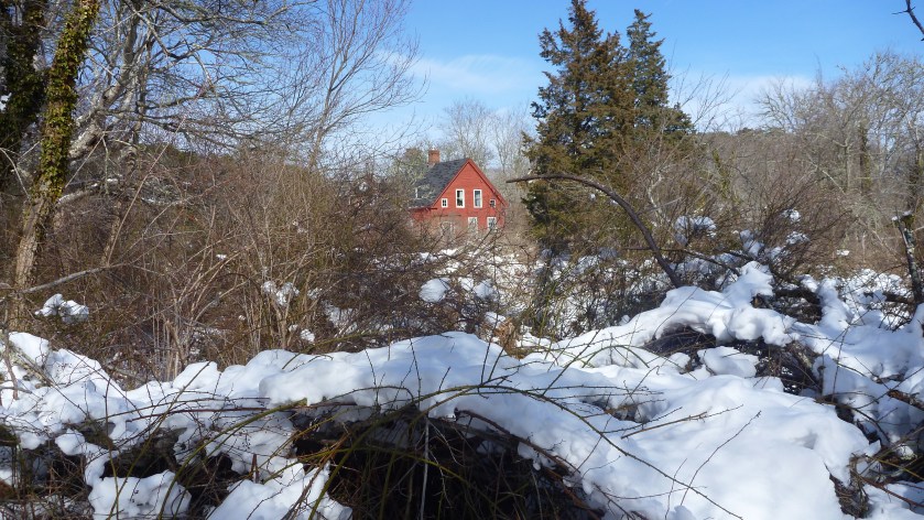 Trails for all seasons – Wellfleet Conservation Trust